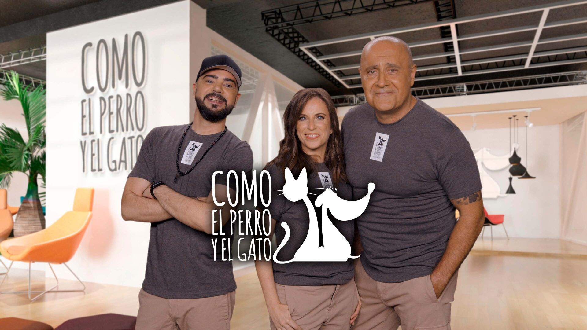 Como el perro y el gato | Atresplayer | Televisión a la carta