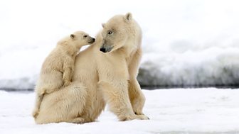 CBeebies Snow Babies | CBeebies | Televisión a la carta