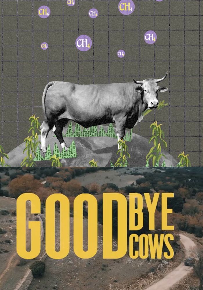 Goodbye Cows | Mitele | Televisión a la carta