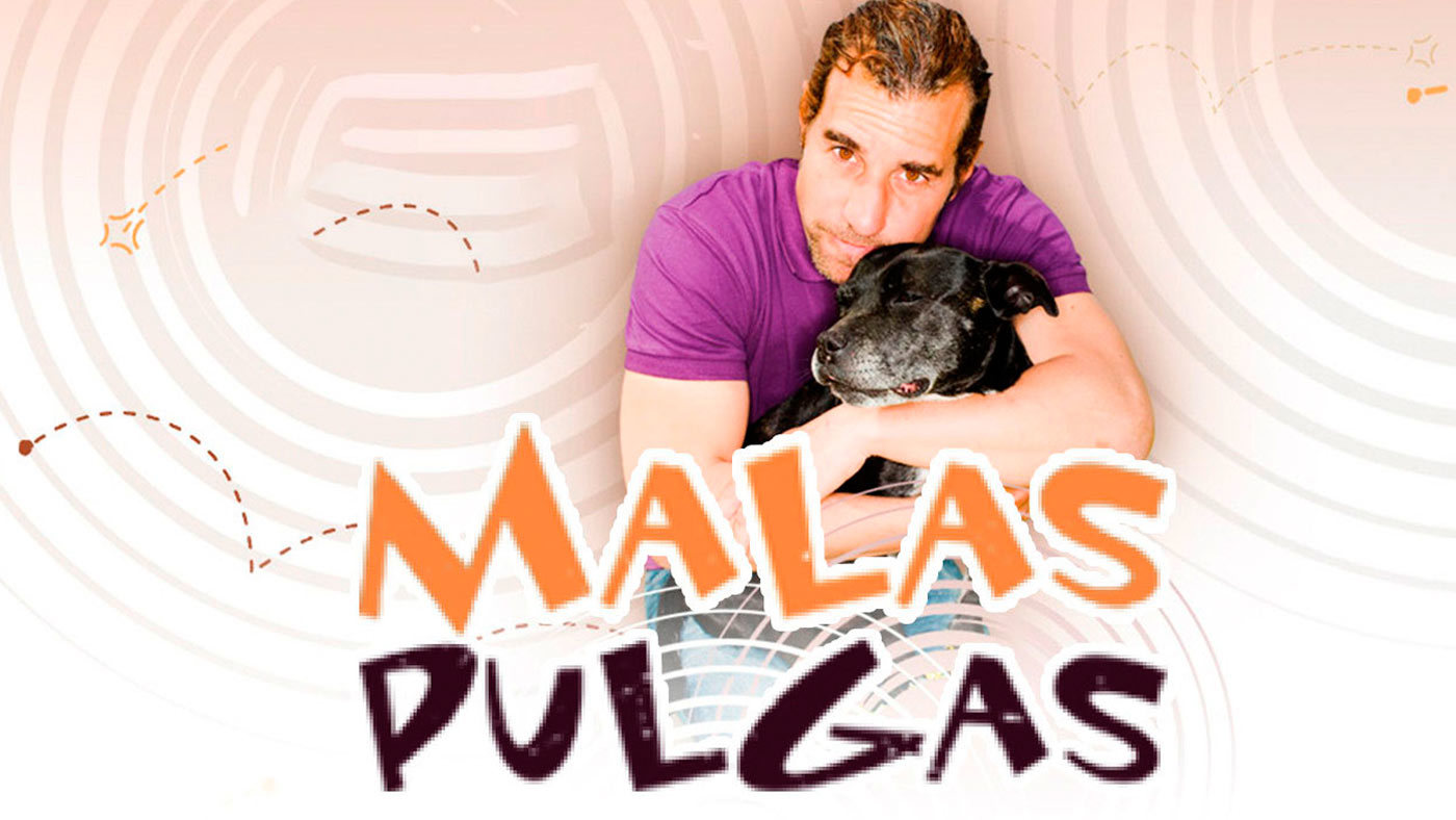 Malas Pulgas | Mitele | Televisión a la carta